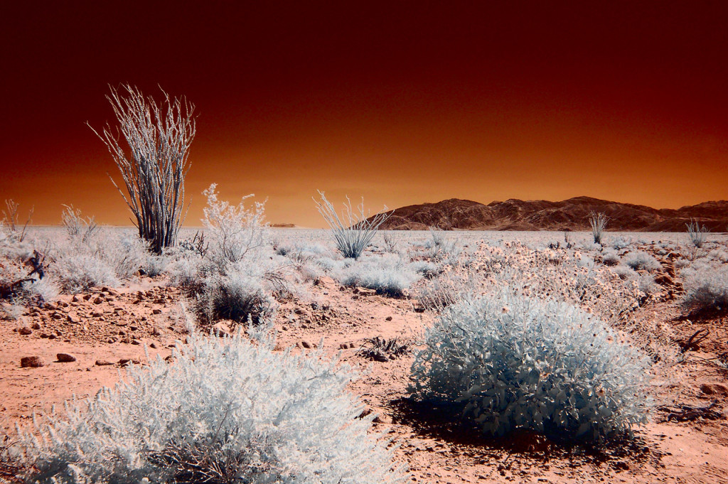 Methane cycling in arid and semi-arid ecosystems - Archive
