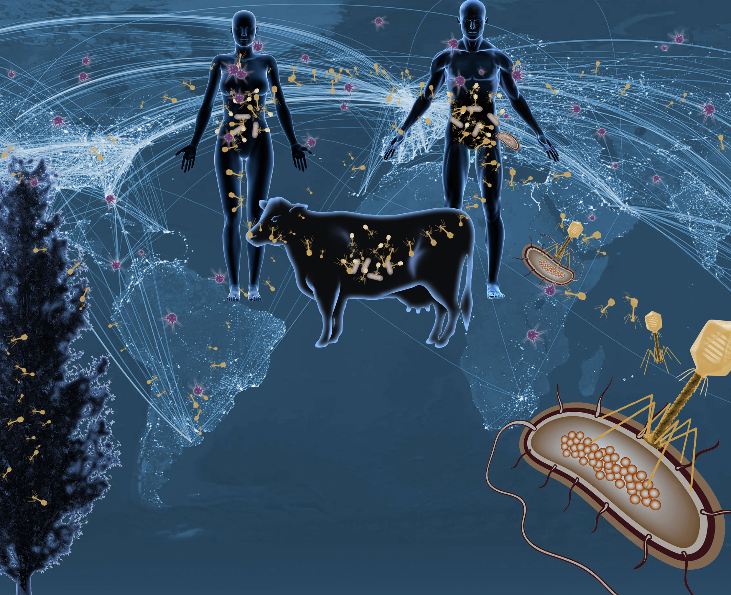 Unveiled: Earth’s Viral Diversity - Archive